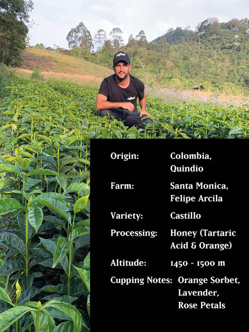 Coffee — MAN VERSUS MACHINE COFFEE ROASTERS