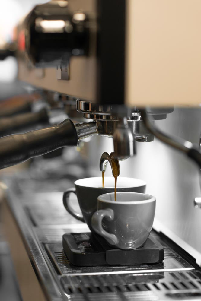 MvsM Merch — MAN VERSUS MACHINE COFFEE ROASTERS